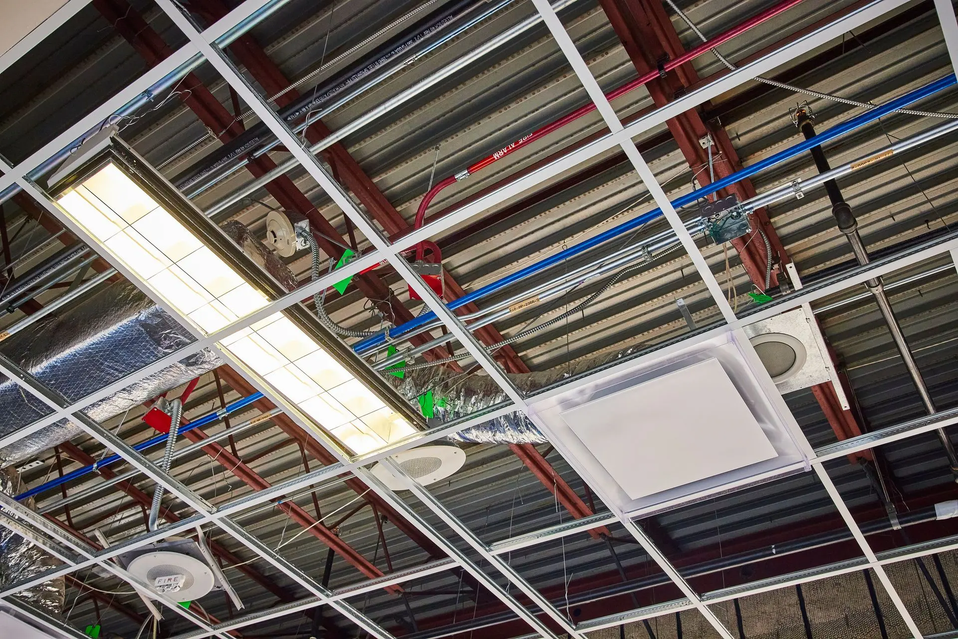 Business Network Cabling | SPM | Expert Installation